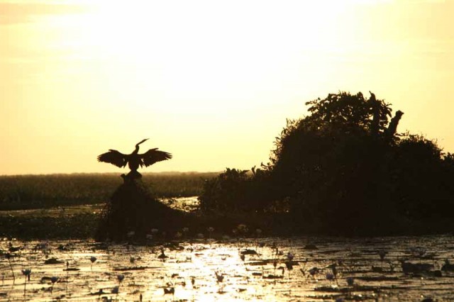 5 ways to experience the Top End of Australia - Places We Go